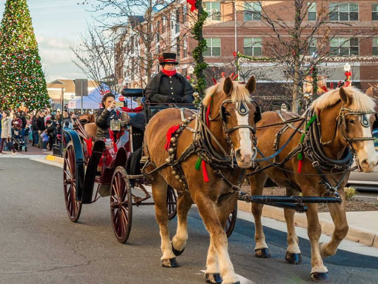 Explore – River Creek on the Potomac